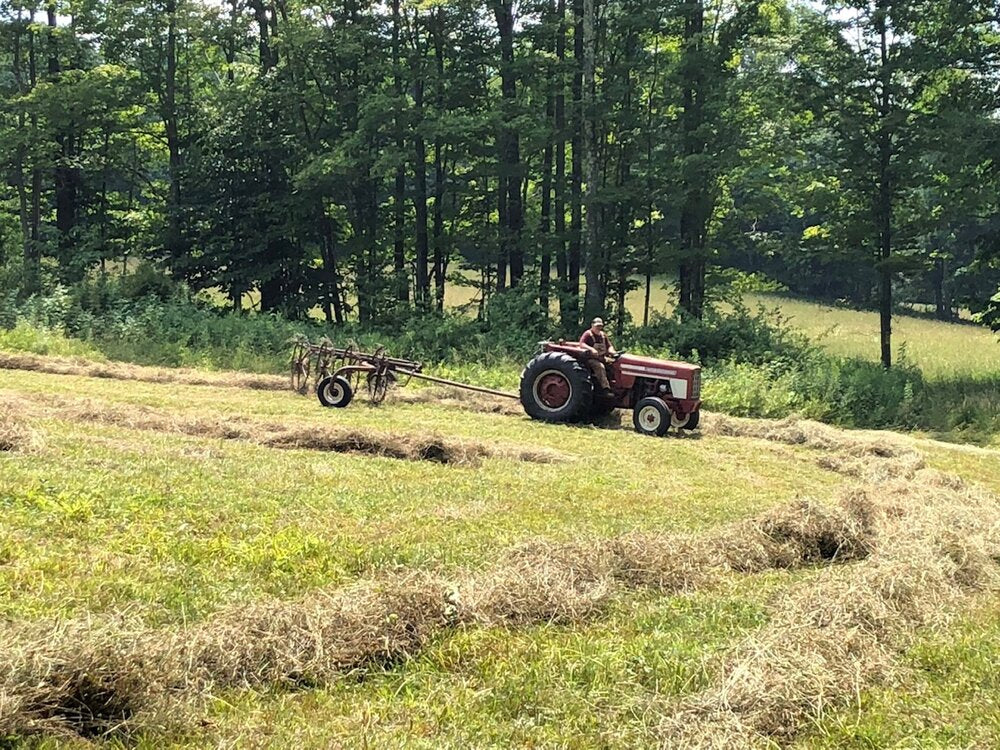 Premium Quality Meats and Eggs | Soggy Meadows Farm